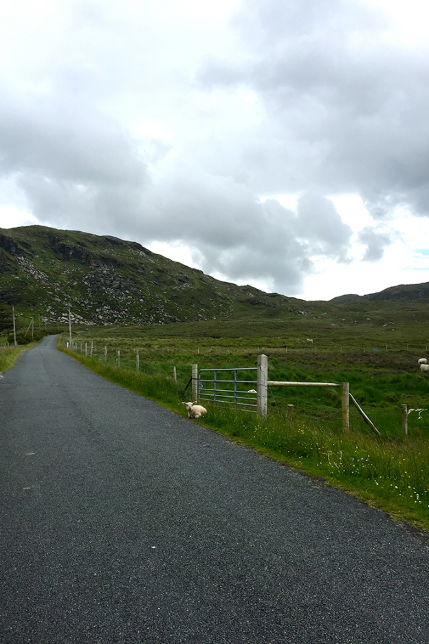 The Epic Irish Bike Tour of County Donegal - Nattie on the Road