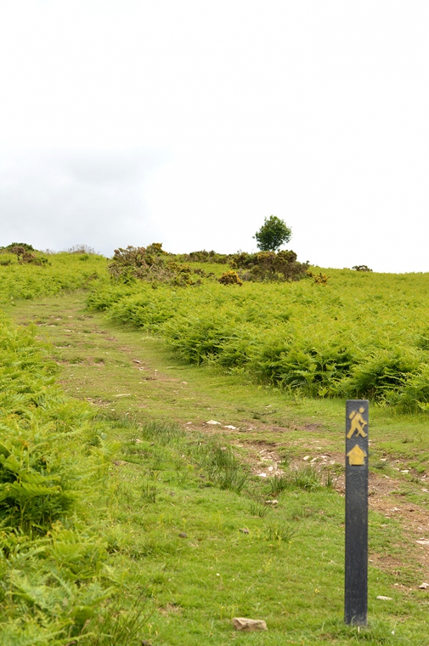 4 Best Ways to Experience Ireland - Nattie on the Road