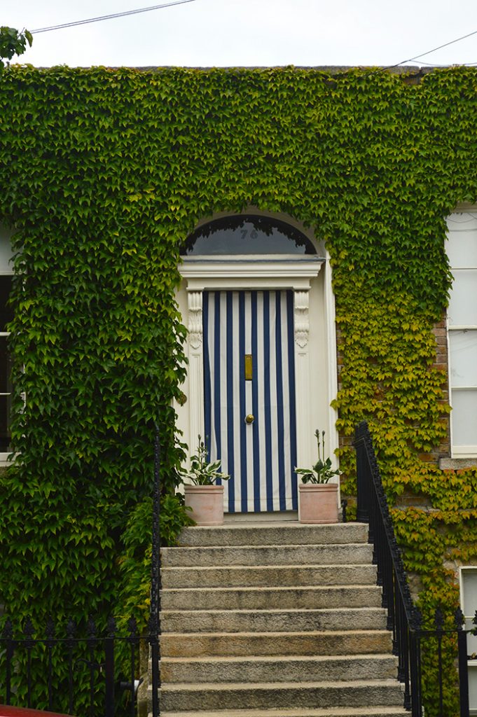 10 Things I Love About Ireland - Nattie on the Road