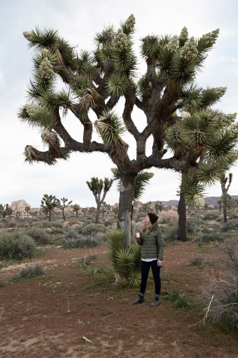 The Best Places To Take Photos In Joshua Tree - Nattie on the Road