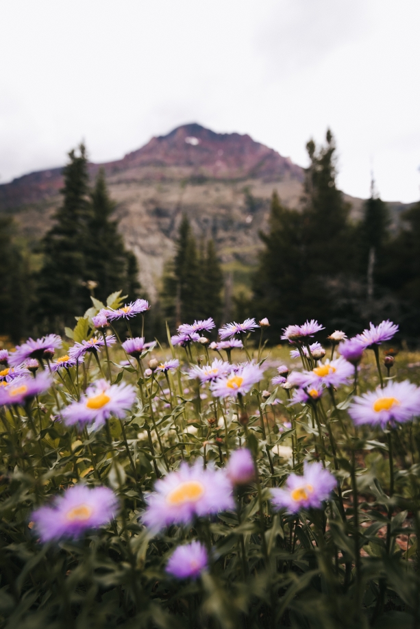 The 10 Best Summer Destinations - Nattie on the Road